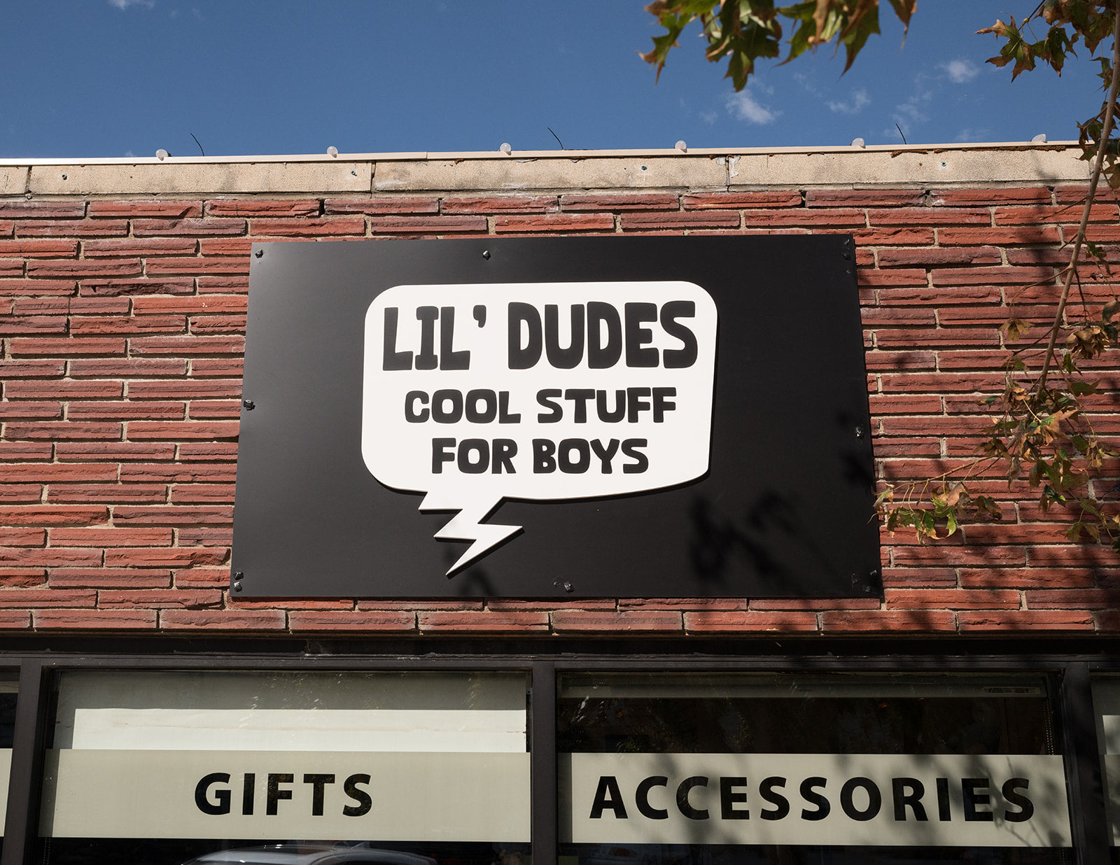 Lil' Dudes - Cool stuff for Kids